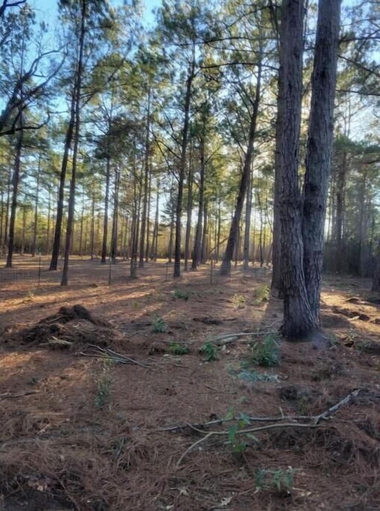 The Bunkhouse - A Unique Farm Stay. Goats, dogs, chickens and 28 Park ...
