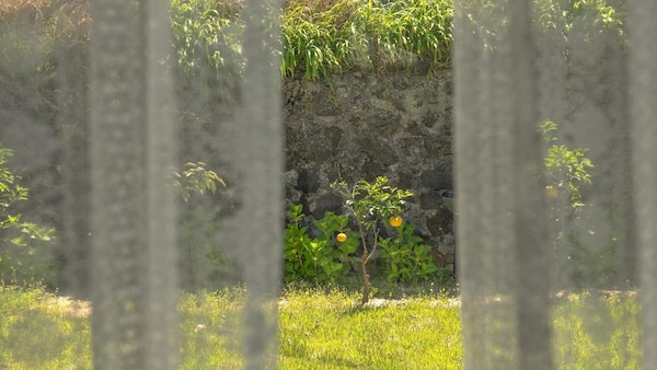 Jeju Pyeongdae 41street Pension - Jeju-si