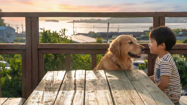Yeosu Noeul Walk Pet Pension - Yeosu-si