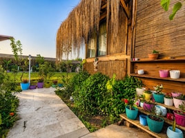 Jardim
