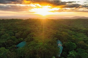 Paisagem arborizada com um pôr do sol.