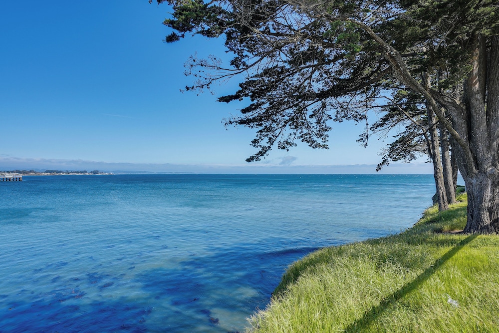Charming Santa Cruz Studio W/ Private Hot Tub - Santa Cruz, CA