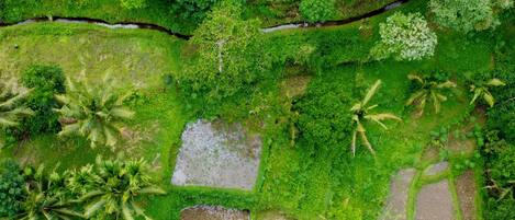 Bungalow, vista para o rio | Vista para o pátio