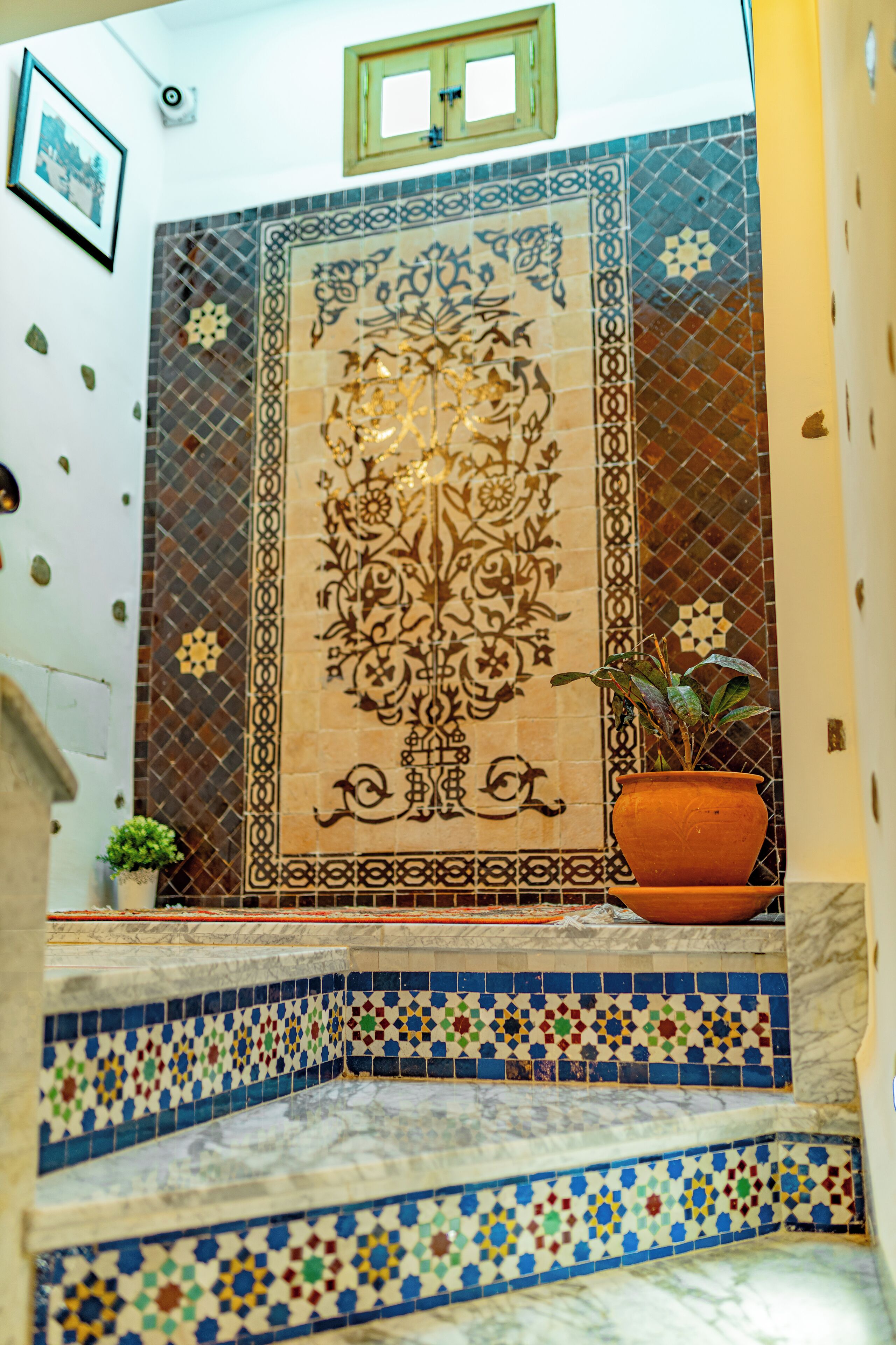Uma escadaria de azulejos com parede estampada e um vaso de planta.