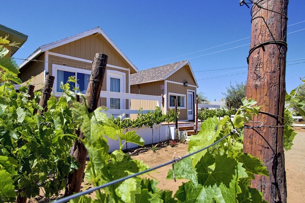 Quarto Standard, 1 cama king-size | Terraço/pátio interior