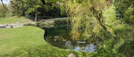 Casa | Área da propriedade