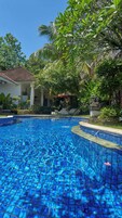 Uma piscina com água azul cristalina, rodeada por vegetação exuberante e um edifício com telhado ladrilhado.