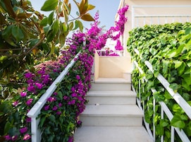 Apartamento (One Bedroom Apartment with Terrace) | Terraço/pátio interior