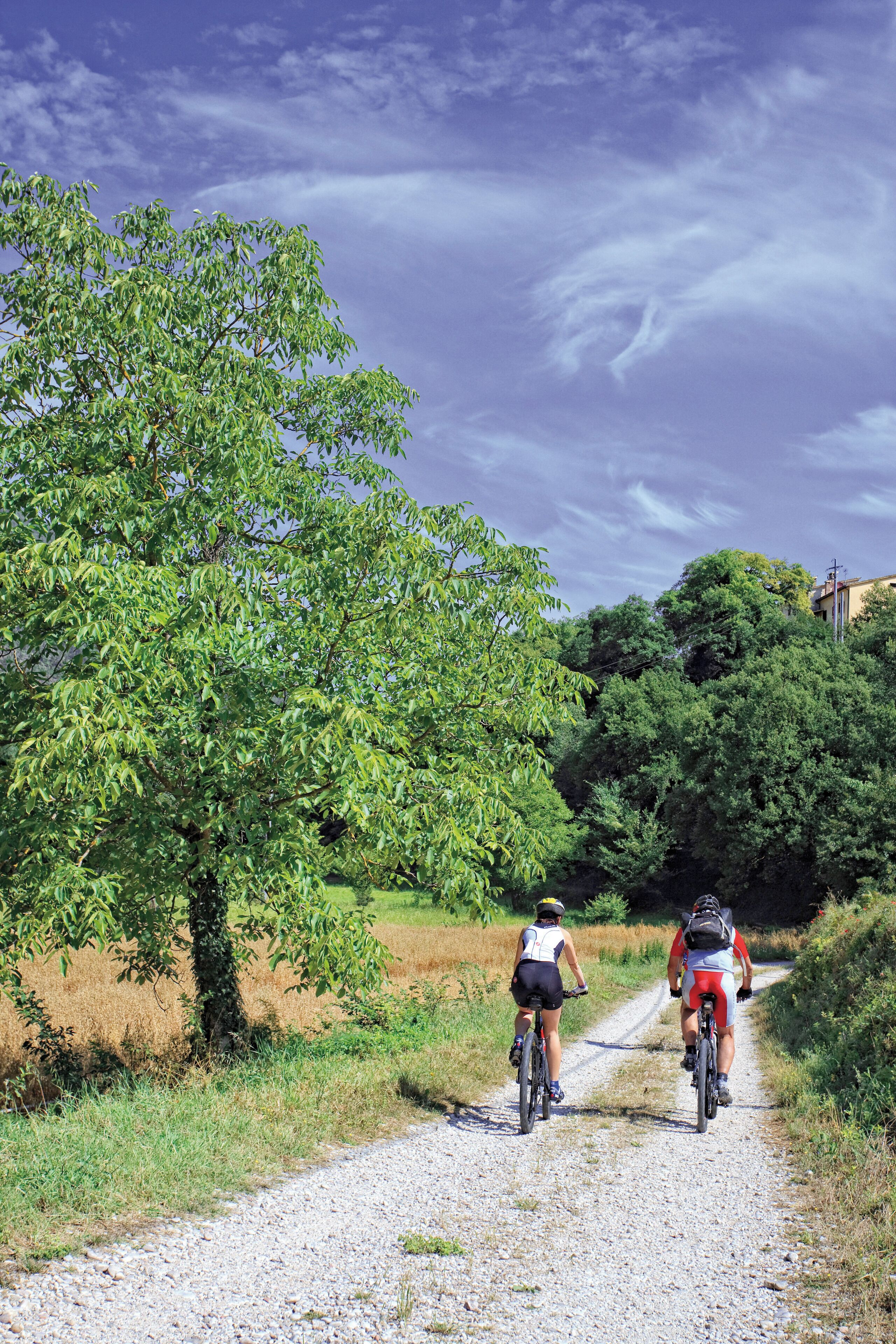 Dois ciclistas numa estrada de cascalho, com árvores e céu claro.
