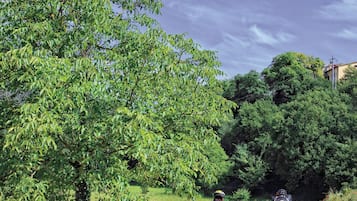 Dois ciclistas numa estrada de cascalho, com árvores e céu claro.