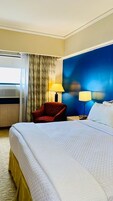 Quarto Standard, 1 cama king-size | Vista do quarto