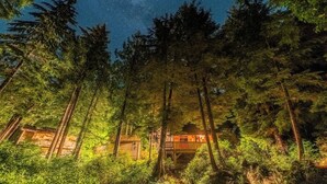 Uma cabana rodeada por árvores altas sob um céu estrelado.