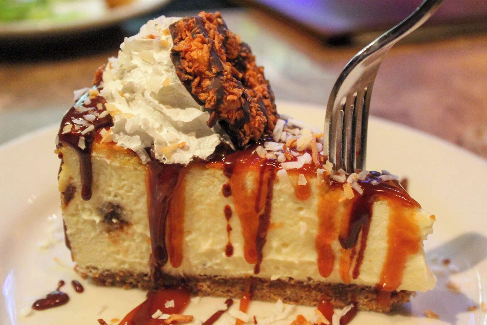 Uma fatia de cheesecake com chantilly e calda de chocolate.
