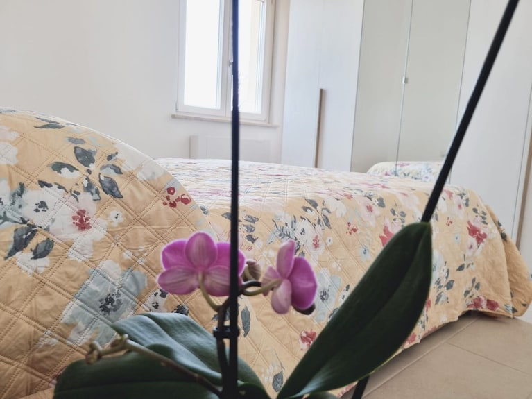 Greenhouse|fenced And Air-conditioned Detached Villa Surrounded By Greenery - Isola di Capo Rizzuto