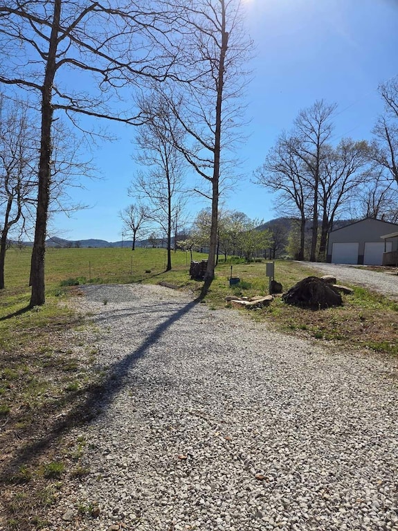 Camping Spaces At The Blue Recluse. - Arkansas