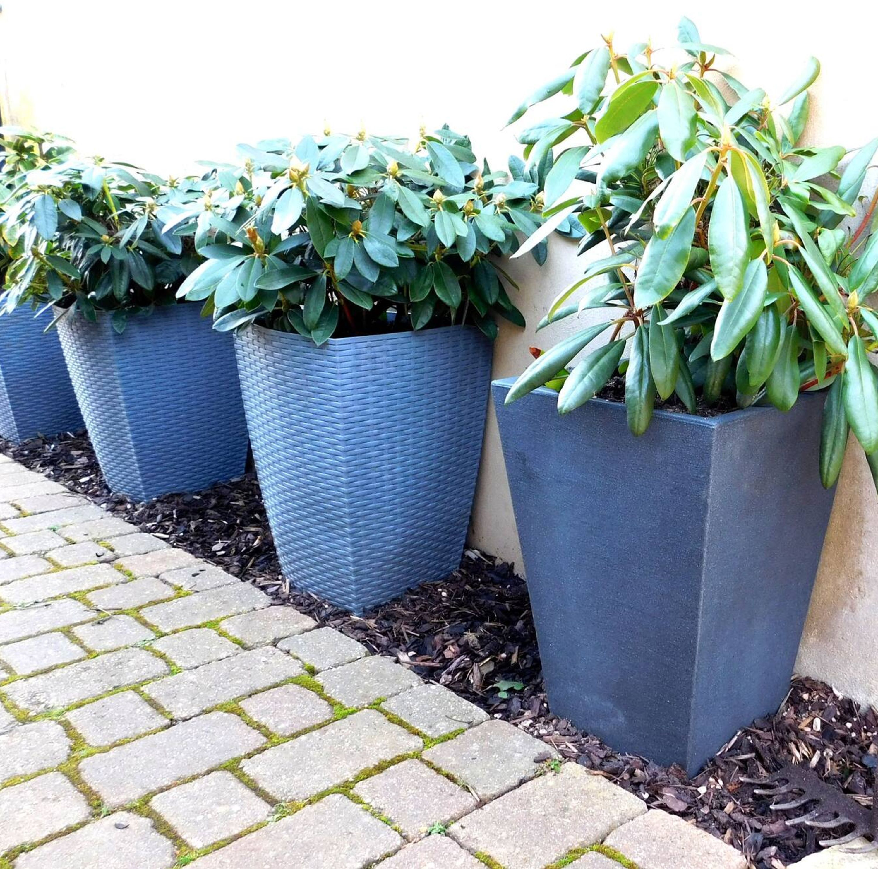 Apartamento | 1 quarto 