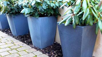 Apartamento | 1 quarto