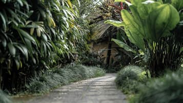 Jardim