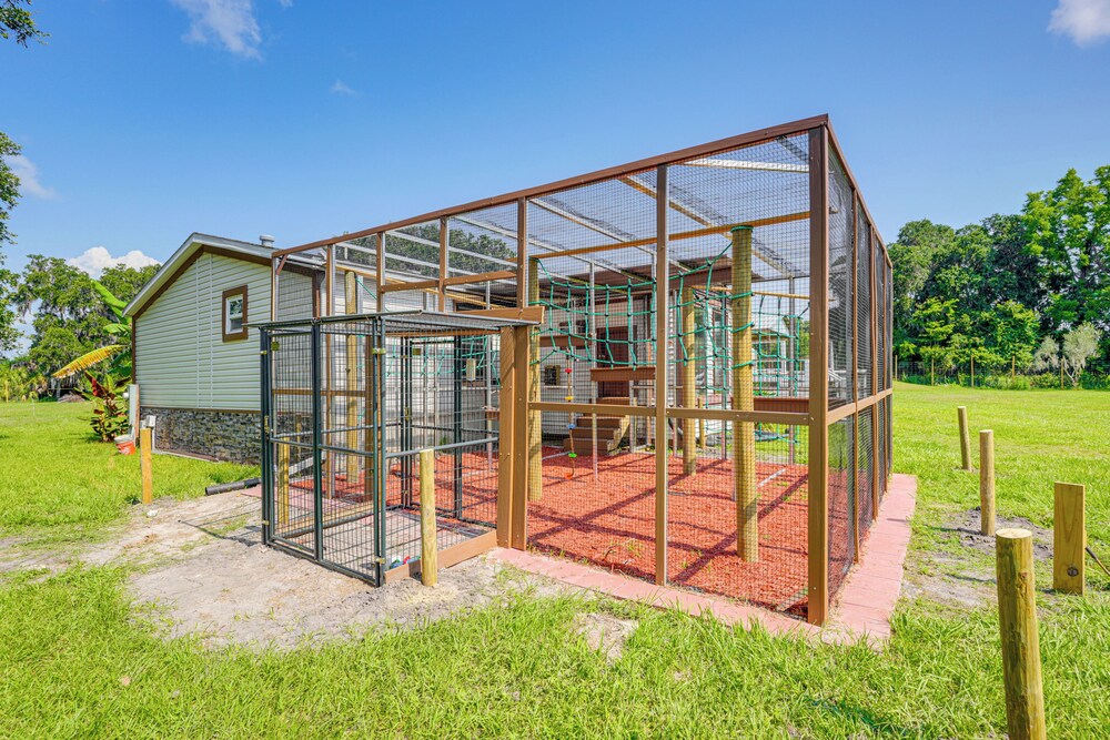 Sleep With Sloths & Lemurs! Modern Webster Home - Simpson Lakes