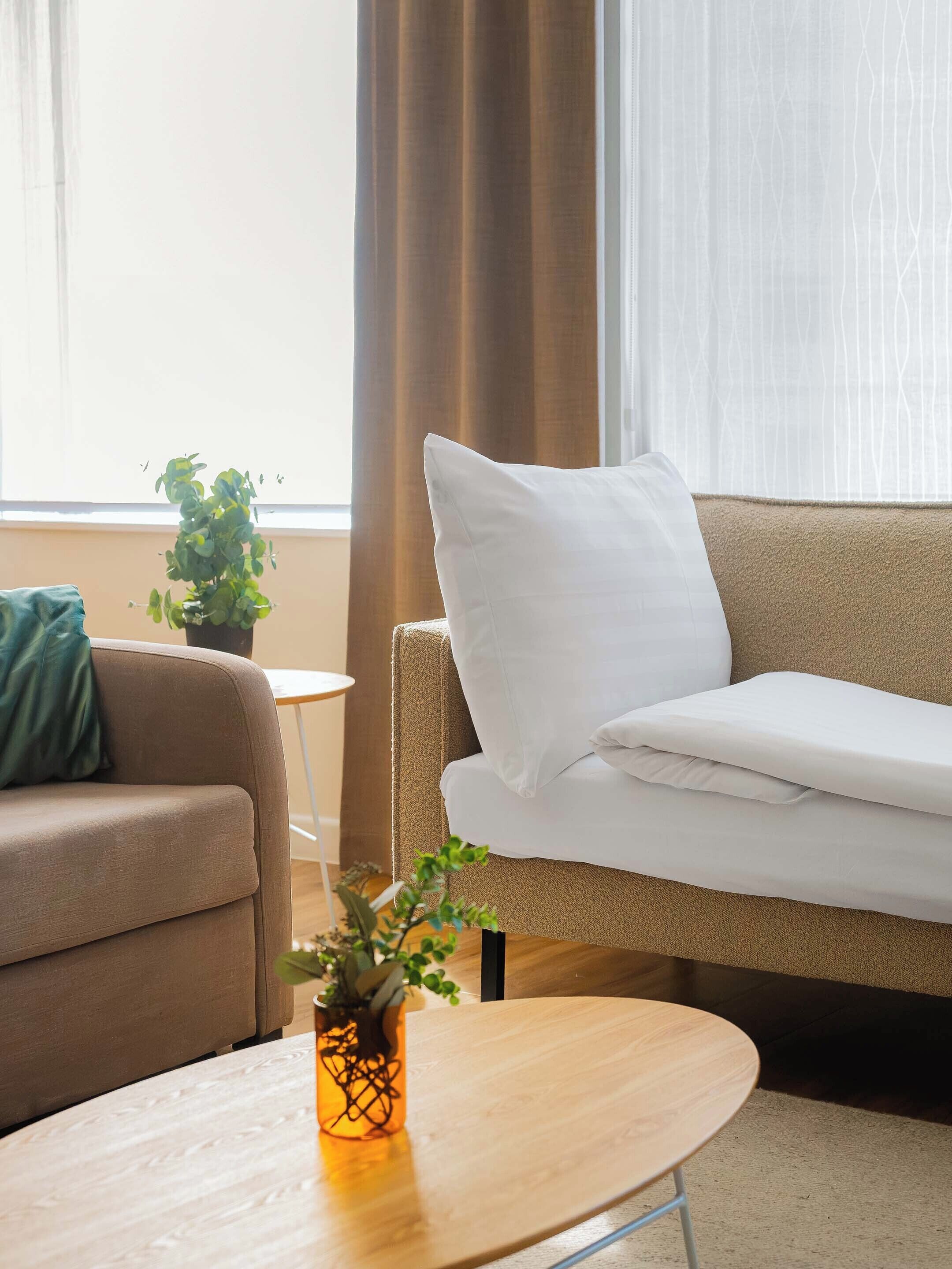 Quarto de hotel com sofá, uma mesinha com uma planta e uma janela com cortinas.