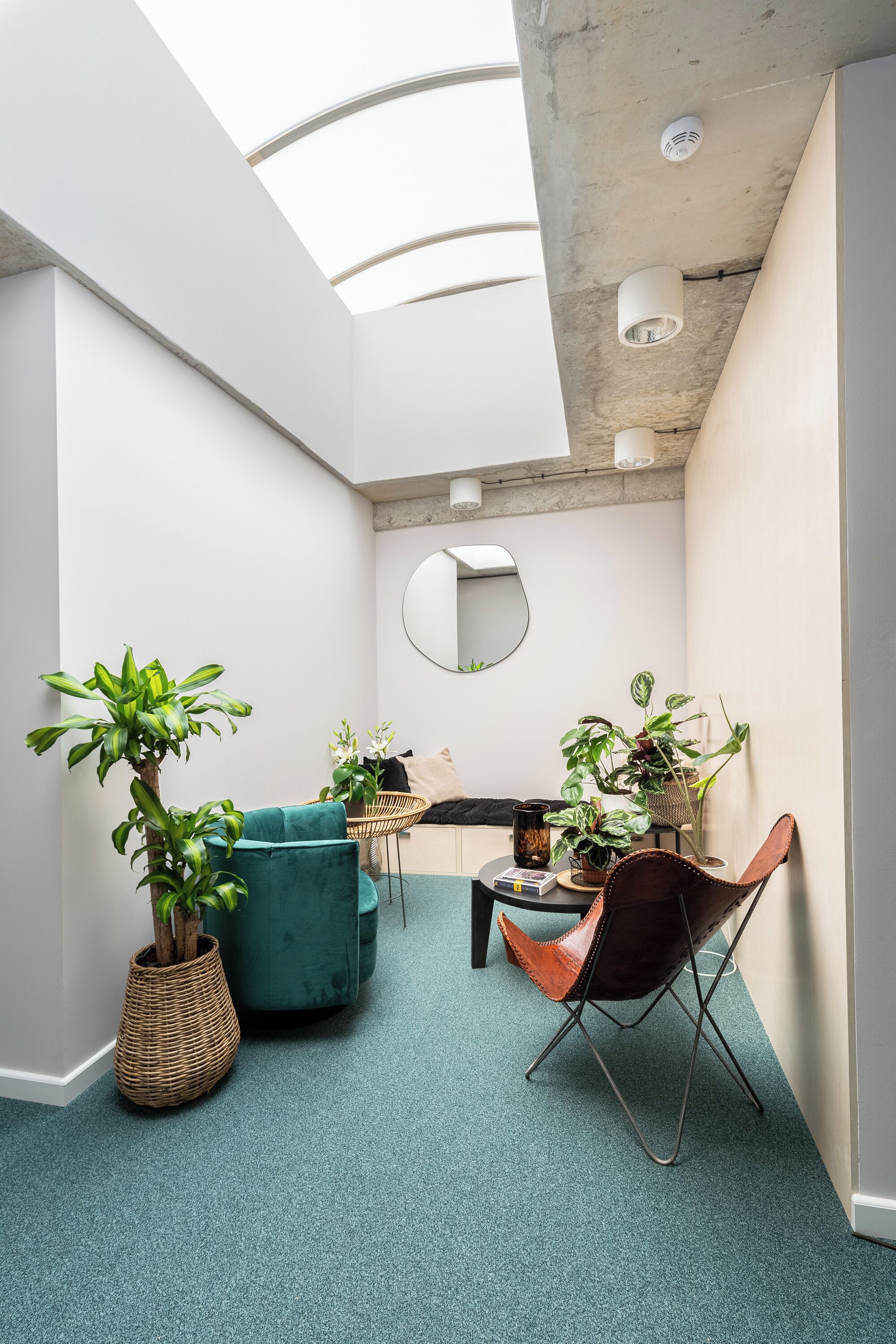 Um espaço de estar moderno e compacto, com claraboia, um espelho redondo e diversas plantas.