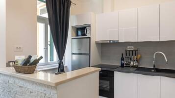 Apartamento (One Bedroom Apartment with Terrace) | Cozinha privada | Um frigorífico