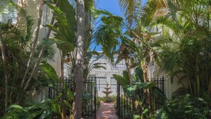 Uma trilha que leva a um edifício cercado por vegetação tropical exuberante.