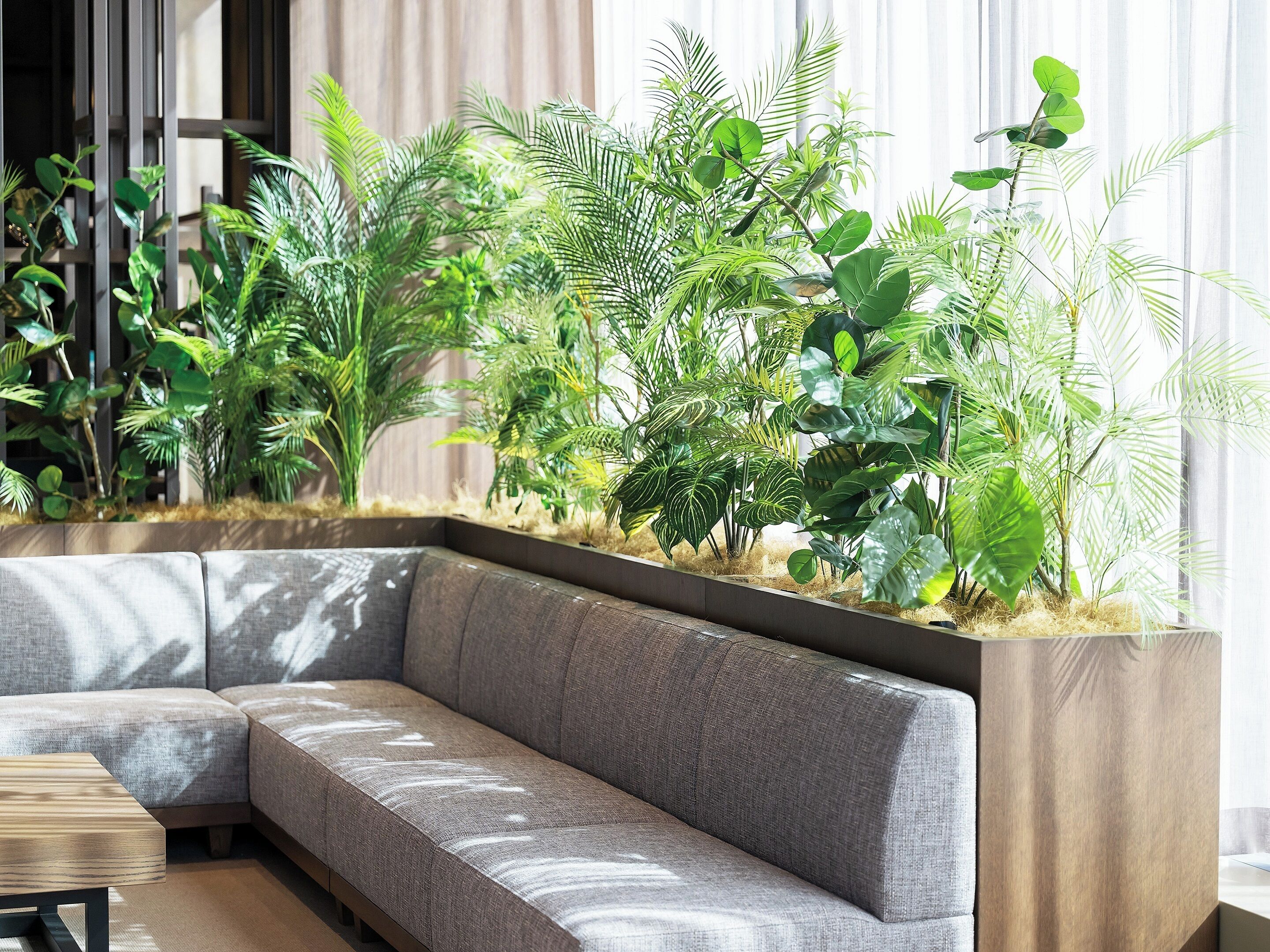 Uma sala de estar moderna com um sofá seccional cinza, uma mesa de centro de madeira e um arranjo de plantas em vasos grandes, tudo em frente a uma janela com cortinas leves.