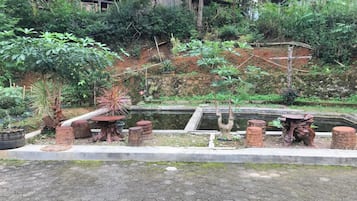 Jardim