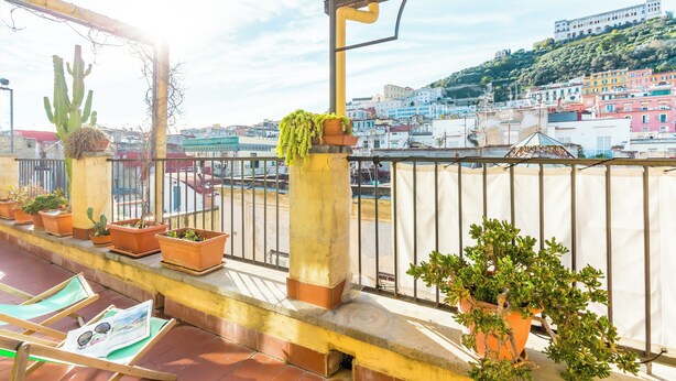 Varanda com plantas em vasos, um jornal e um par de óculos de sol em uma cadeira.