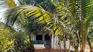 Uma casa cercada por vegetação densa, incluindo palmeiras e diversos arbustos.