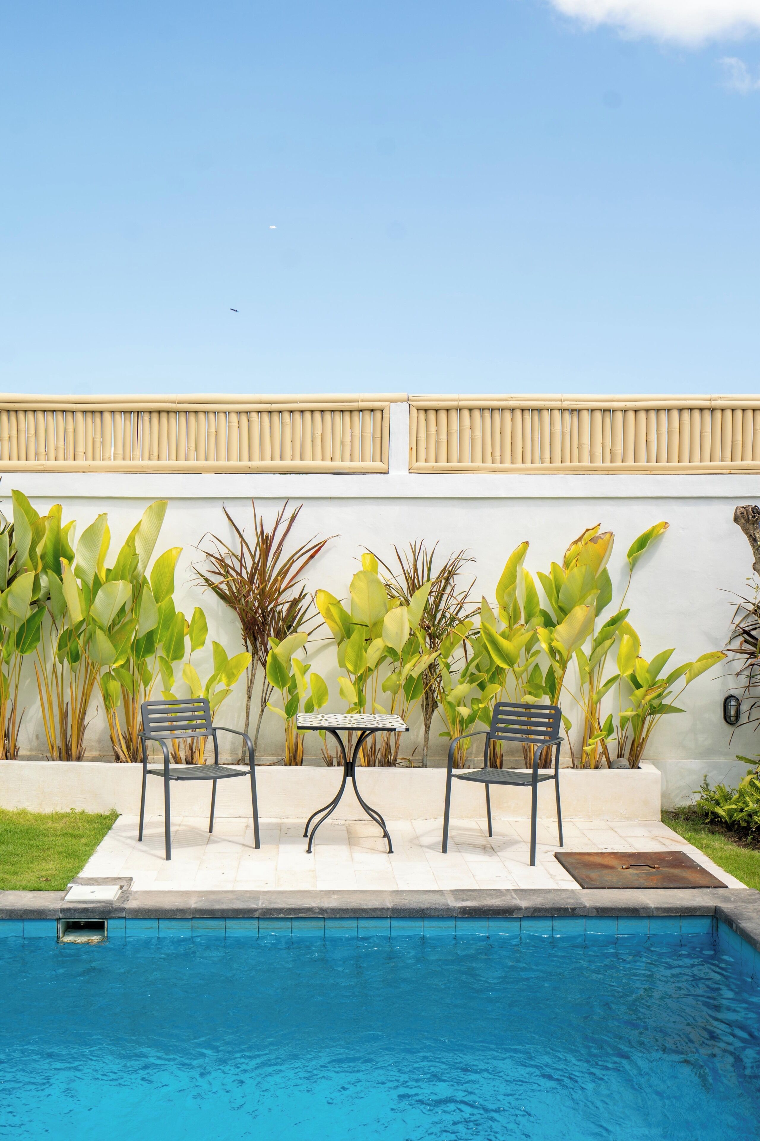 Jardim