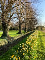Cabana | Área da propriedade