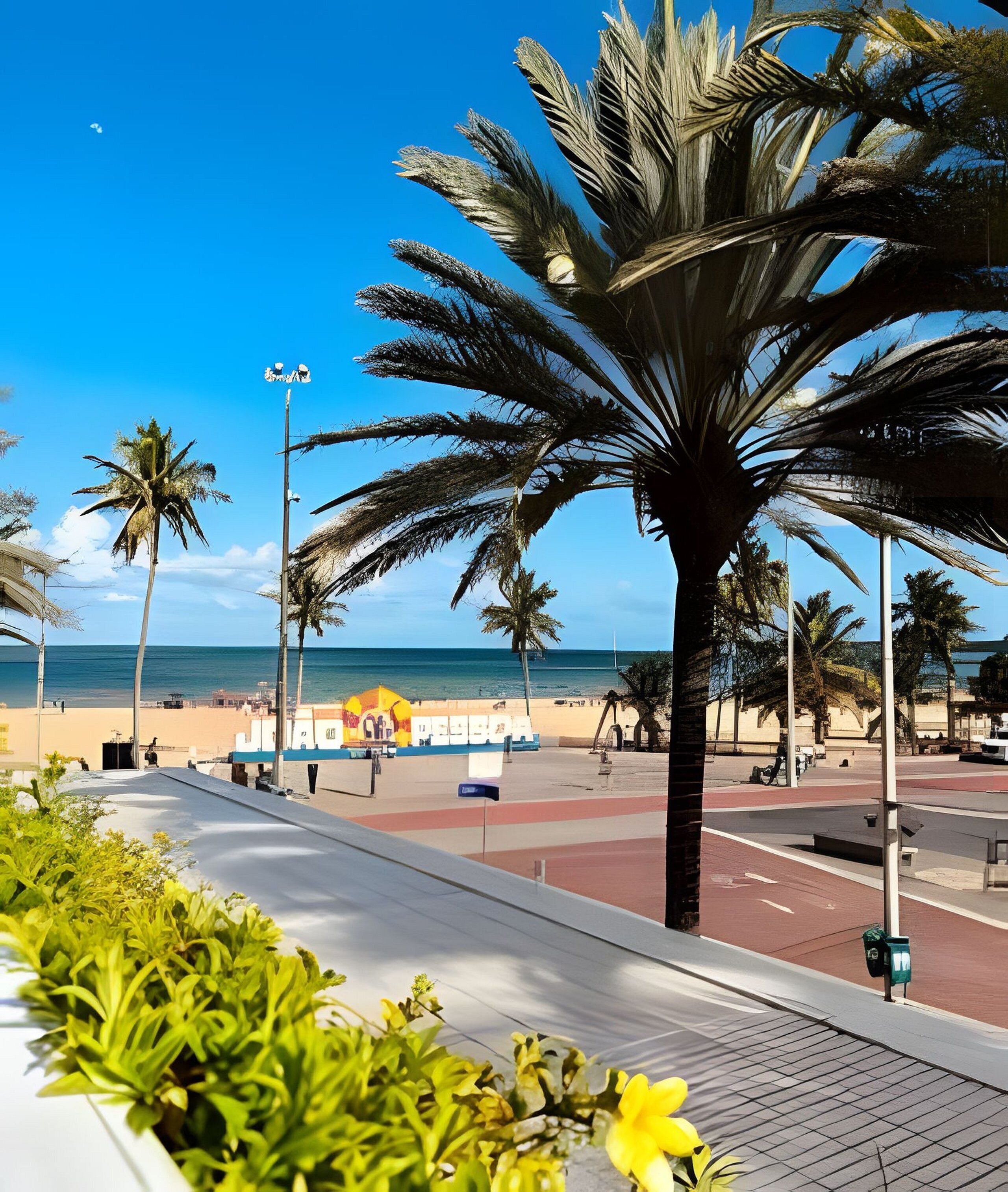 Apartamento Deluxe | Praia | Na praia, praia de areia branca, guarda-sóis de praia 