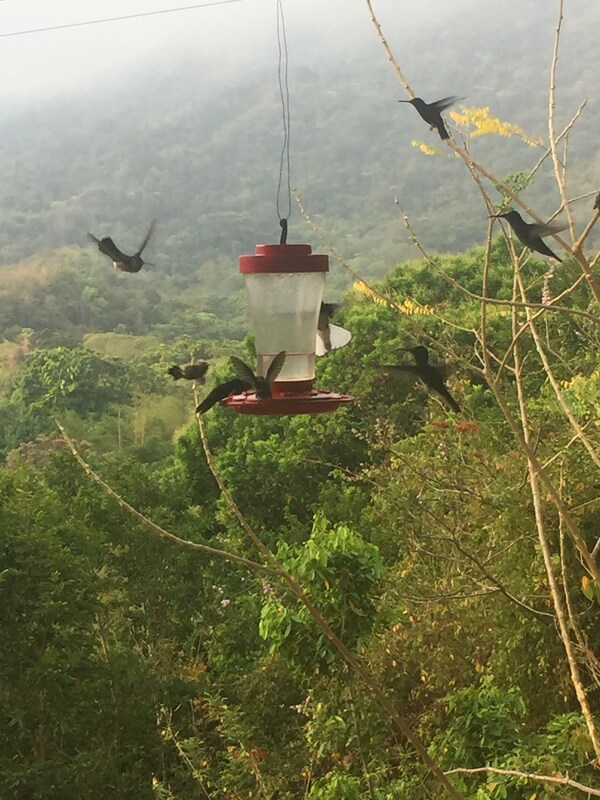 Hotel Minca La Casona - Minca
