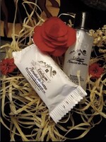 Chuveiro, secador de cabelo, toalhas de banho, sabonete