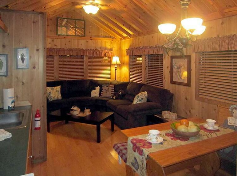 Cozy Cabin In Riverfront Resort - Florida