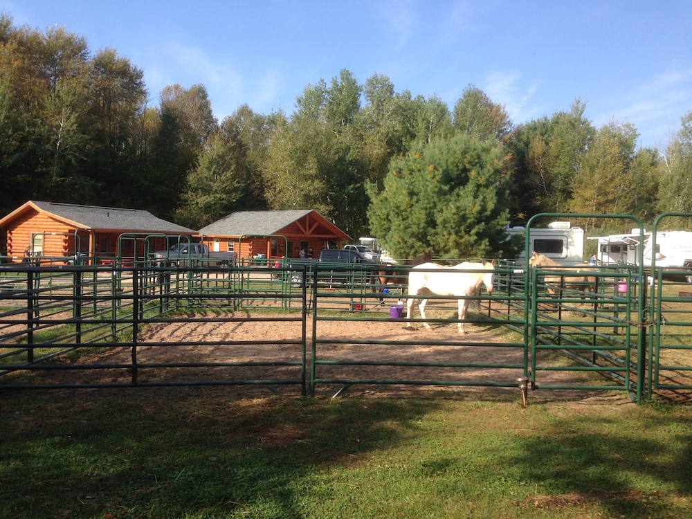 Perfect For Families & Friends, Pet Friendly, Horse Theme, Log Cabin, Fireplace - Mountain, WI