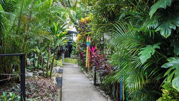 Um caminho estreito ladeado por exuberante vegetação tropical, levando a um edifício.