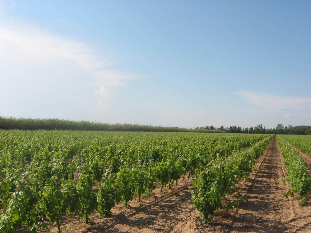 Domaine La Yole Wine Resort - Hérault