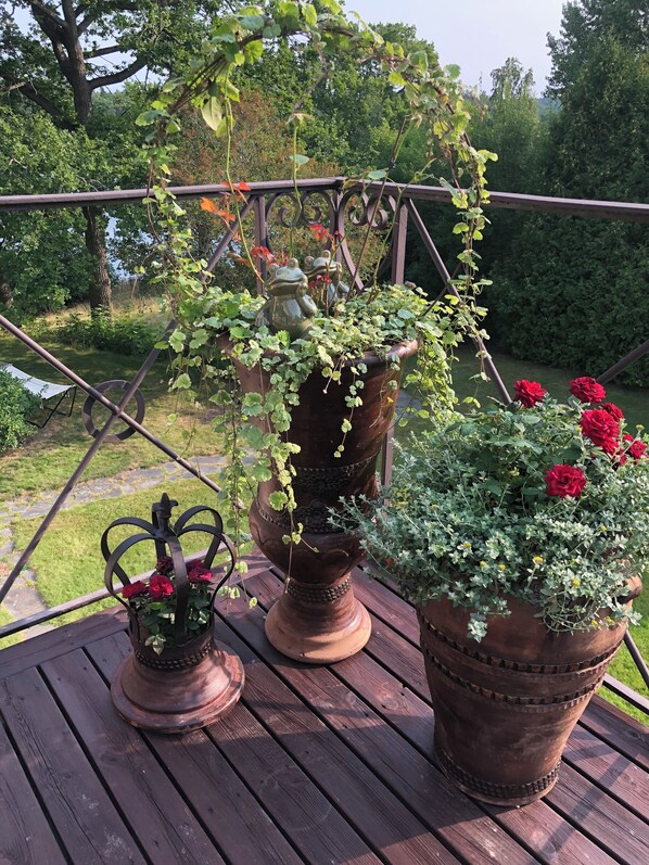 Terraço/pátio interior