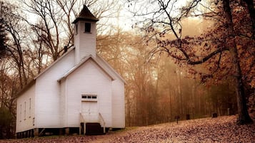 Uma igreja branca com um pináculo, cercada por árvores e folhas caídas.