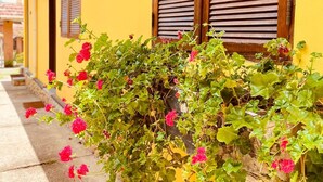 Um edifício amarelo com persianas de madeira e um vaso com flores vermelhas.