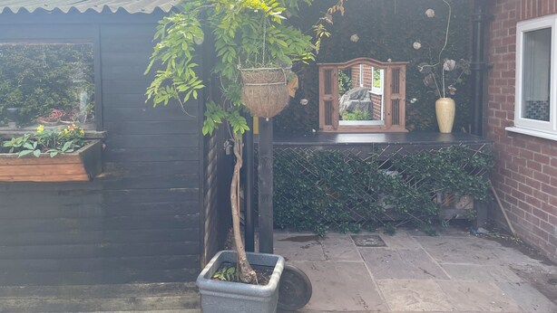 Um jardim com uma árvore em vaso, um cachepot suspenso e uma parede de tijolos.