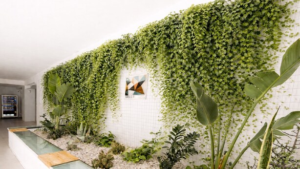 Paredes cobertas de hera verde, azulejos e um pequeno quadro emoldurado.