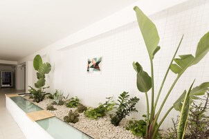 Apartamento | 5 quartos 