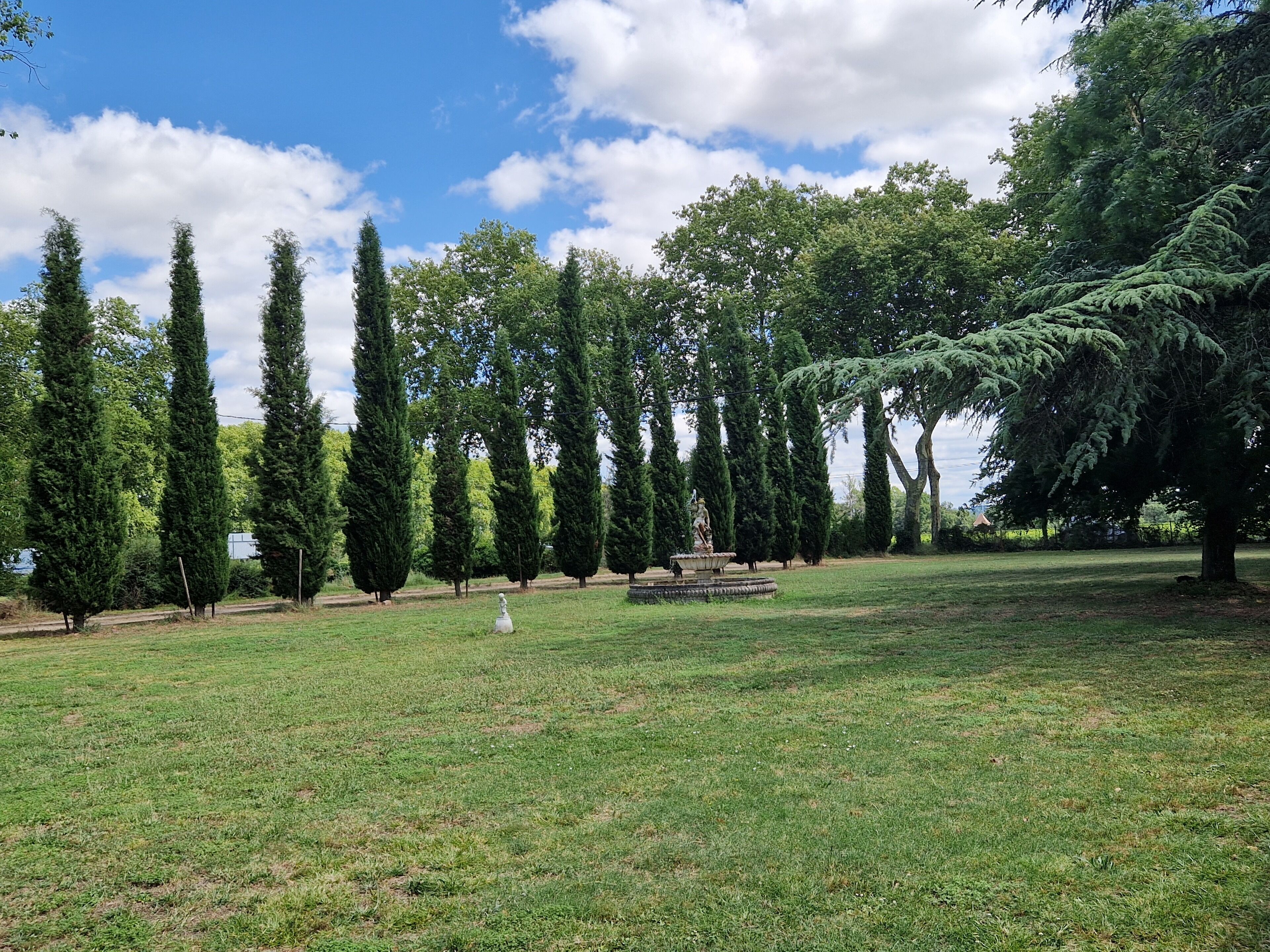 Um parque com grama bem aparada, diversas árvores incluindo coníferas altas e uma grande palmeira-samambaia, e uma fonte central.