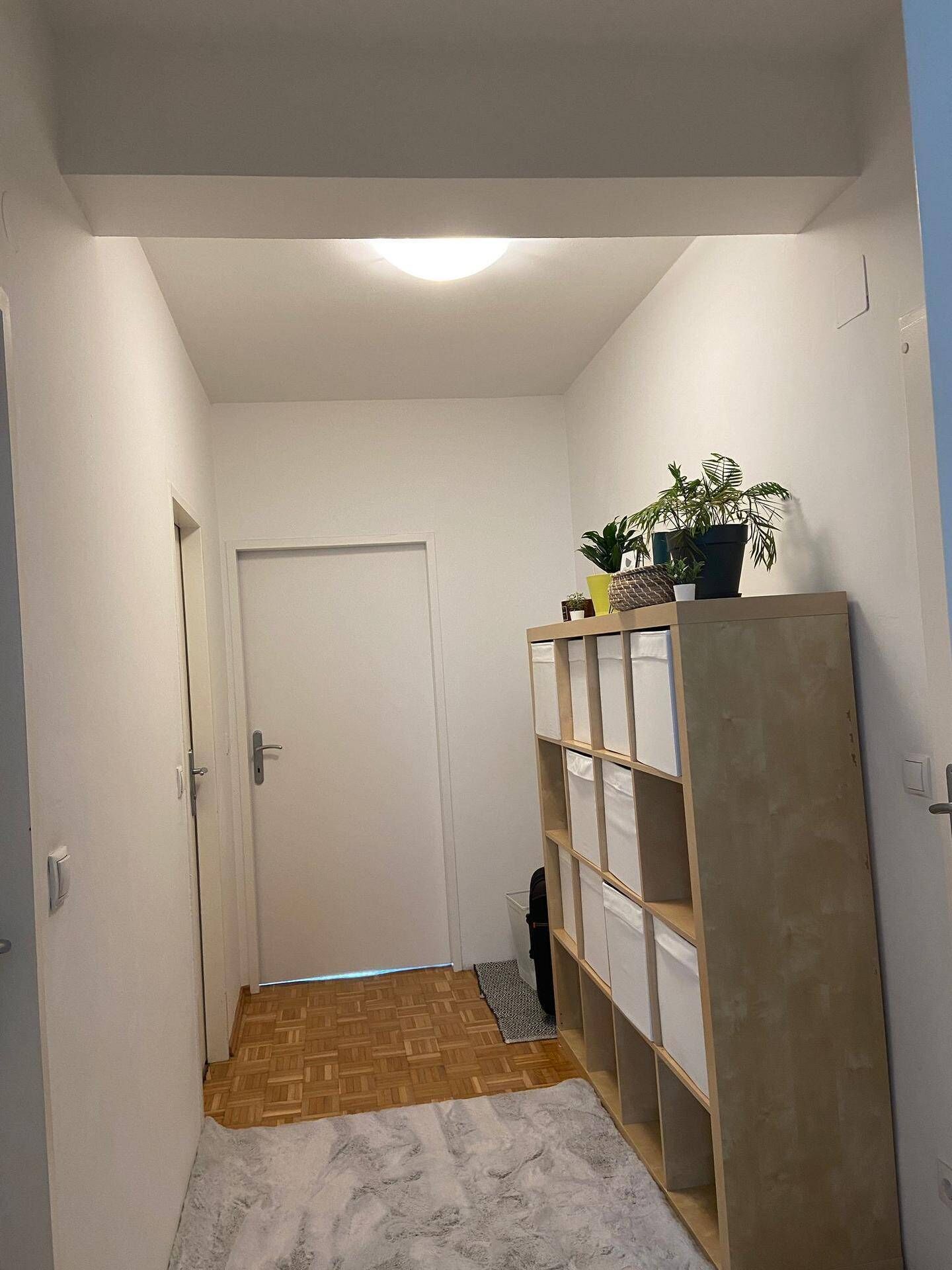 Um corredor com porta branca, piso de madeira, tapete branco e um aparador com plantas.