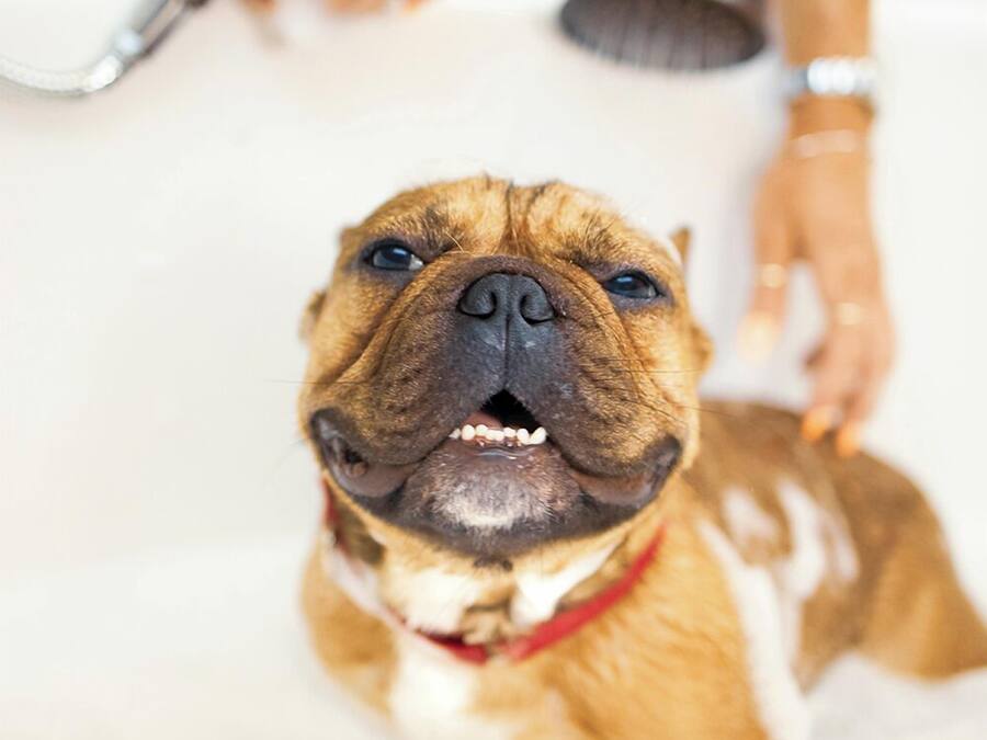 Roupa de alta qualidade, minibar, cofre no quarto, secretária