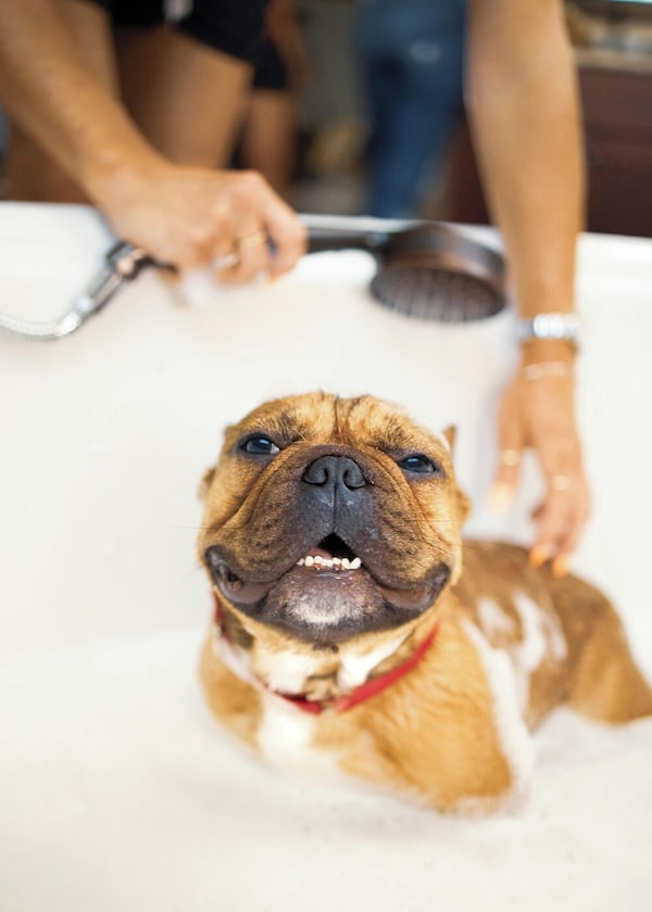 Naturally Pacific Resort - Quadra Island